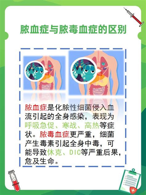 脓血症vs脓毒血症：一字之差，区别何在？