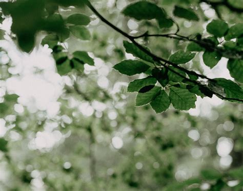 Compass Property Services External Cleaning And Property Maintenance