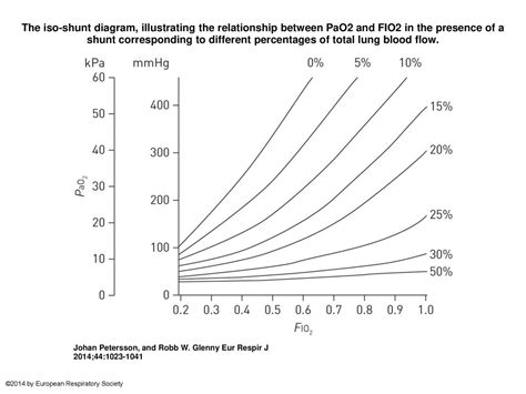 The Iso Shunt Diagram Illustrating The Relationship Between Pao2 And