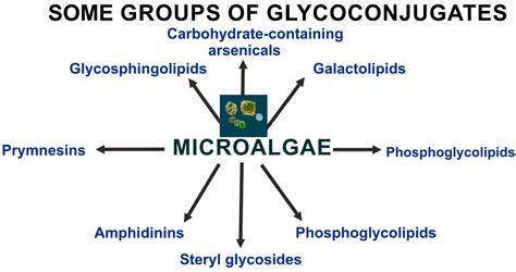Carbohydrate Containing Low Molecular Weight Metabolites Of Microalgae