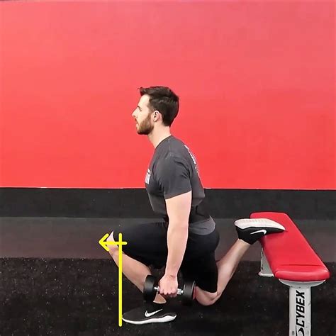 Split Squats Vs Lunges