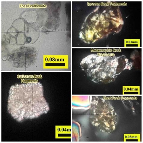 The Schist Rock Studied Under A Polarized Light Microscope Download