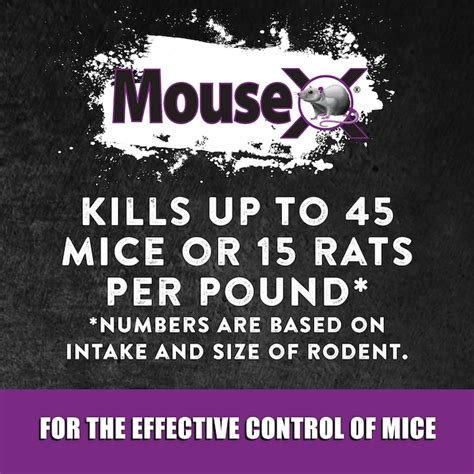 Mousex Bait Tray Mouse Killer 620107 At