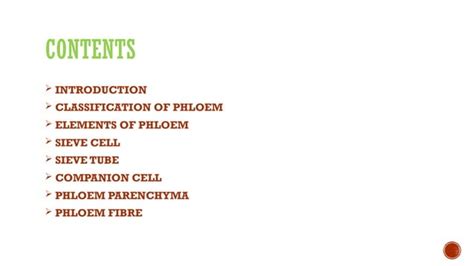 Phloem Tissue Classification And Its Compositionpptx