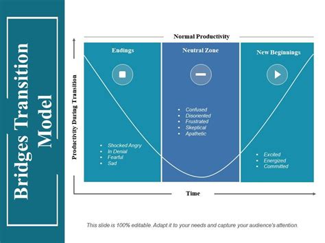Bridges Transition Model Ppt Infographic Template Mockup Powerpoint