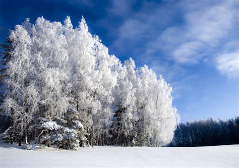30 Wonderful Winter Snow Landscape Photographs 30 фото Картины