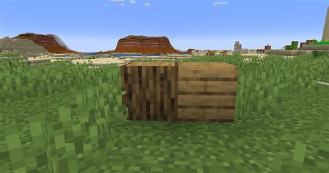 Oak Wood Planks Skin Minecraft