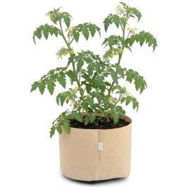 247garden 2 Gallon Basic Aeration Tan Fabric Potplant Grow Bag 200gsm