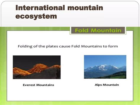 Presentation On Mountain Ecosystem Pptx
