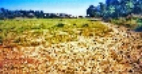 Bf6 Stolen Screenshot Thumbnail No Ui Album On Imgur