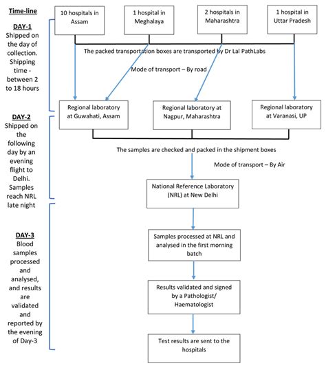 A Flow Chart Showing The Transportation Of Samples From The Hospital To