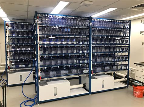 Labreed® Multi Rack Systems For Advanced Research Iwaki Aquatic