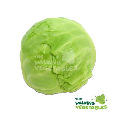 包菜（北京） Beijing Cabbage 700 800g