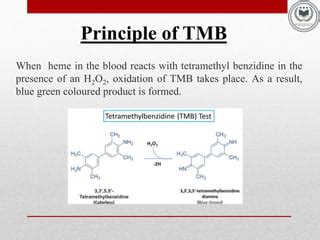 Tmb Test Pptx