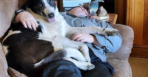 Cow Girl Album On Imgur