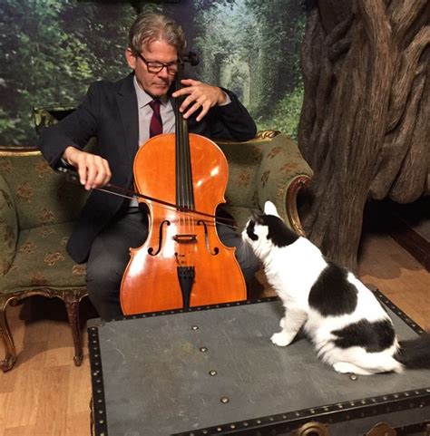 Cellist David Teie Has Created The First Ever Album Specifically For Cats Cat Cello Cute