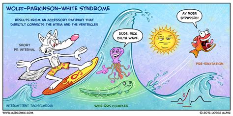 Medcomic Wpw Edition Whoa Surfs Up Gomerblog