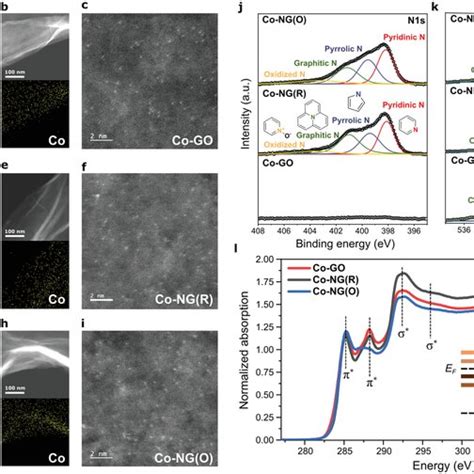 Characterization Of Atomically Dispersed Cobalt Adg Schematic