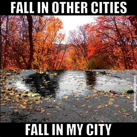 50 Best Fall Memes 2024 To Celebrate The Autumn Season