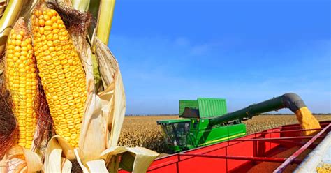 У МЗС Литви розповіли як забезпечити роботу «зернового коридору після виходу РФ з угоди