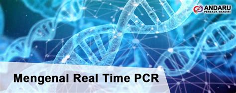 real time pcr mengenal real time pcr rt pcr qpcr