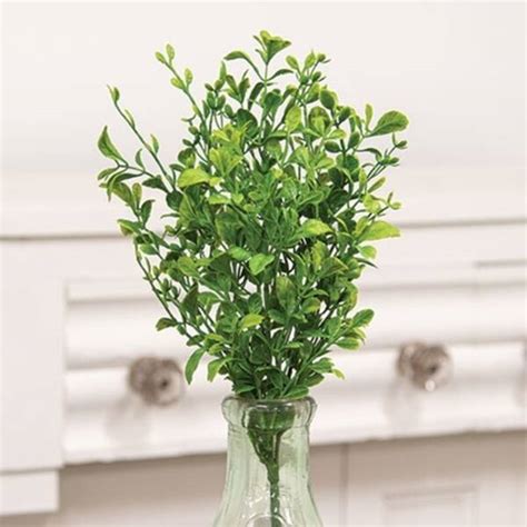 Evergreen English Boxwood Bush 14 Multi Bed Bath And Beyond 41712347