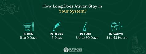 How Long Does Ativan Stay In Your System Get Help Today