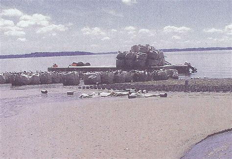 Protect Our Shoreline