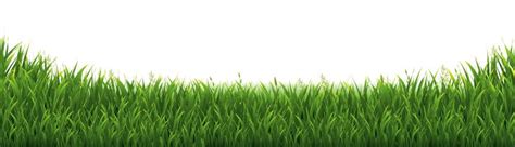 Premium Vector Green Grass Frame And White Background