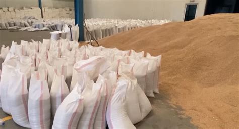 Me Pak Grurë Në Myzeqe Fermerët Do Të Mbjellim Vetëm Për Nevojat Personale Abc News