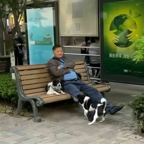 20 Funny “miserable Men” Snapped Waiting For Their Shopaholic Partners