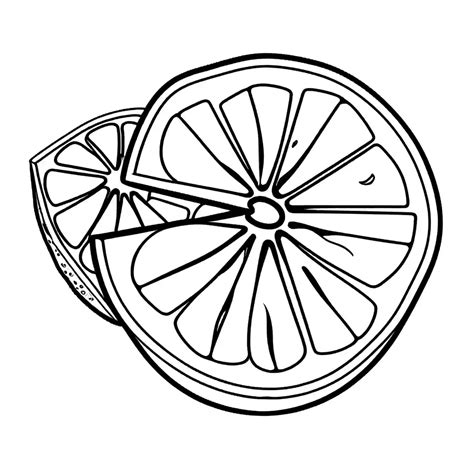 Half Cut Lemon Coloring Page Coloring Jungle