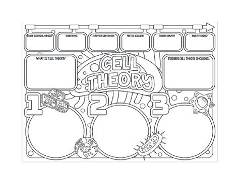 Doodle Cell Theory Pdf