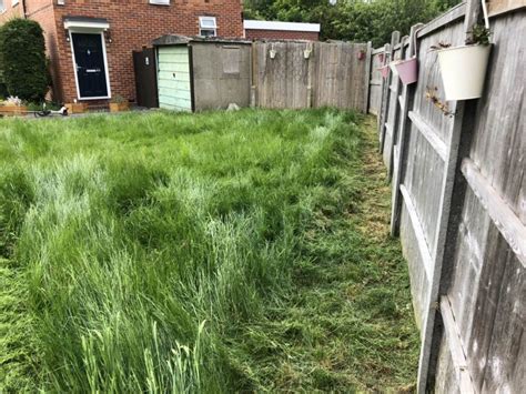 Cutting Overgrown Grass In South London Greenwich Green Swift Gardeners