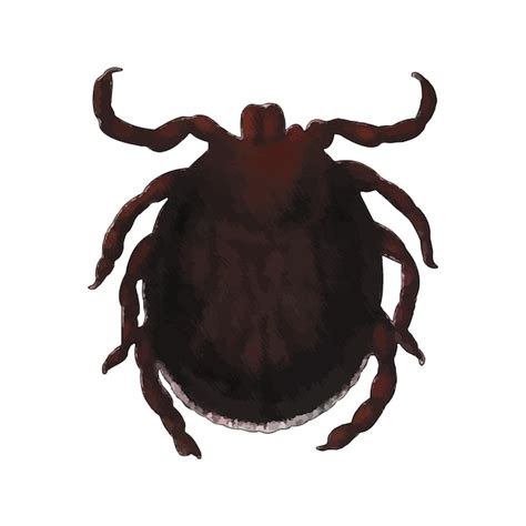 Premium Vector Tick Watercolor Vector Illustration