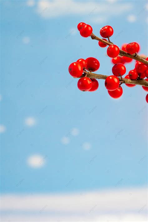 Cold Winter Winter Theme Photography Background Winter Theme Snowing