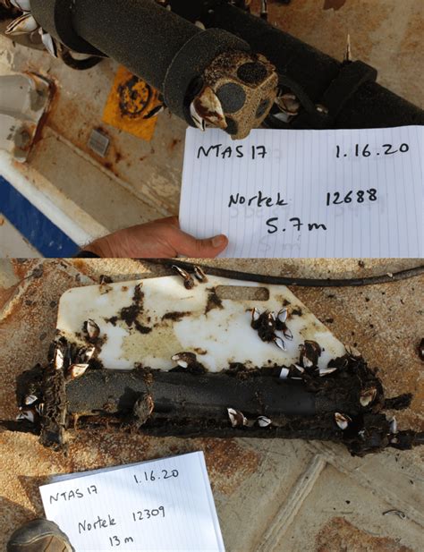Ntas 17 Subsurface Instrumentation At Recovery Upper Instruments Download Scientific Diagram