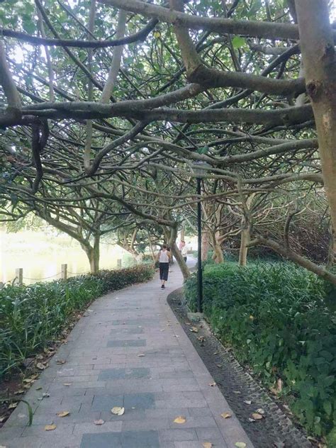 2023荔枝公园游玩攻略但是丝毫不阻挡公园的特色【去哪儿攻略】