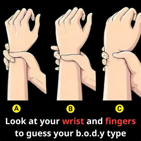 Top Look At Your Wrist And Fingers To Guess Your Body Type Are You An Ectomorph Mesomorph Or