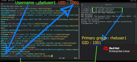 The Etc Passwd File In Linux Explained With Examples