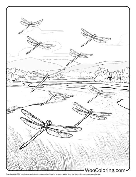 100 Dragonfly Coloring Pages Free Pdf To Print Woo Coloring