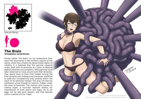 Rule 34 1girls 2023 Arms Held Back Big Breasts Bra Breasts Consensual