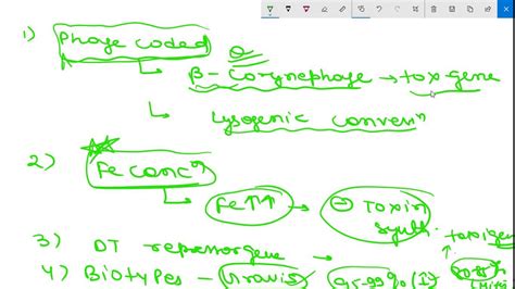 Corynebacterium Diptheria Virulenece Factor Clinical Manifestation