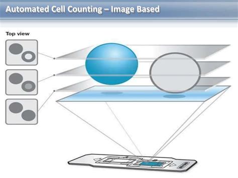 Cell Counting And Viability 170912035622 Pptx