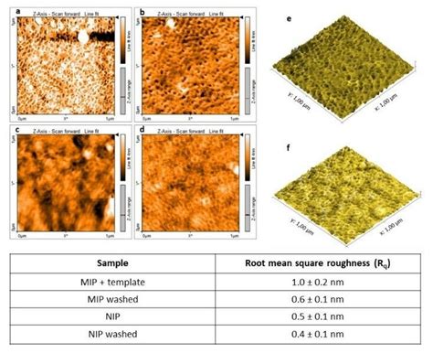 Afm Characterization Of A Mip And C Nip After Synthesis And B Mip