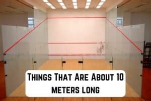 13 Common Things That Are About 10 Meters Long With Pics Measuringly