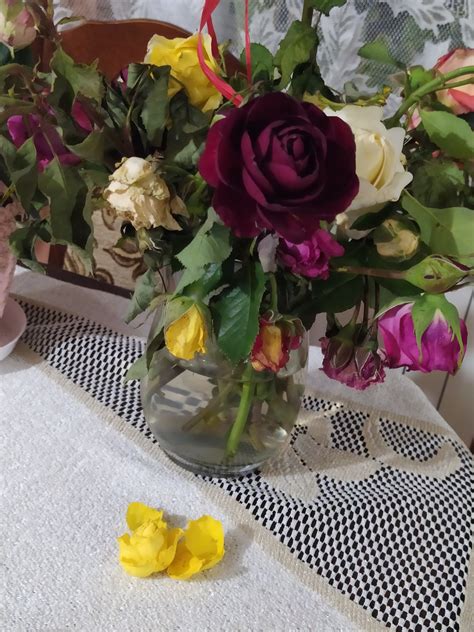 Avasta Avasta10 Twitter