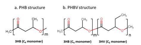 Teamedinburgh Ogphbv Production