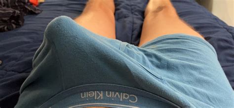 Major Friday Bulge R Cockoutline
