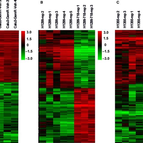 Cluster Analysis Of Differentially Expressed Genes Based On Gene